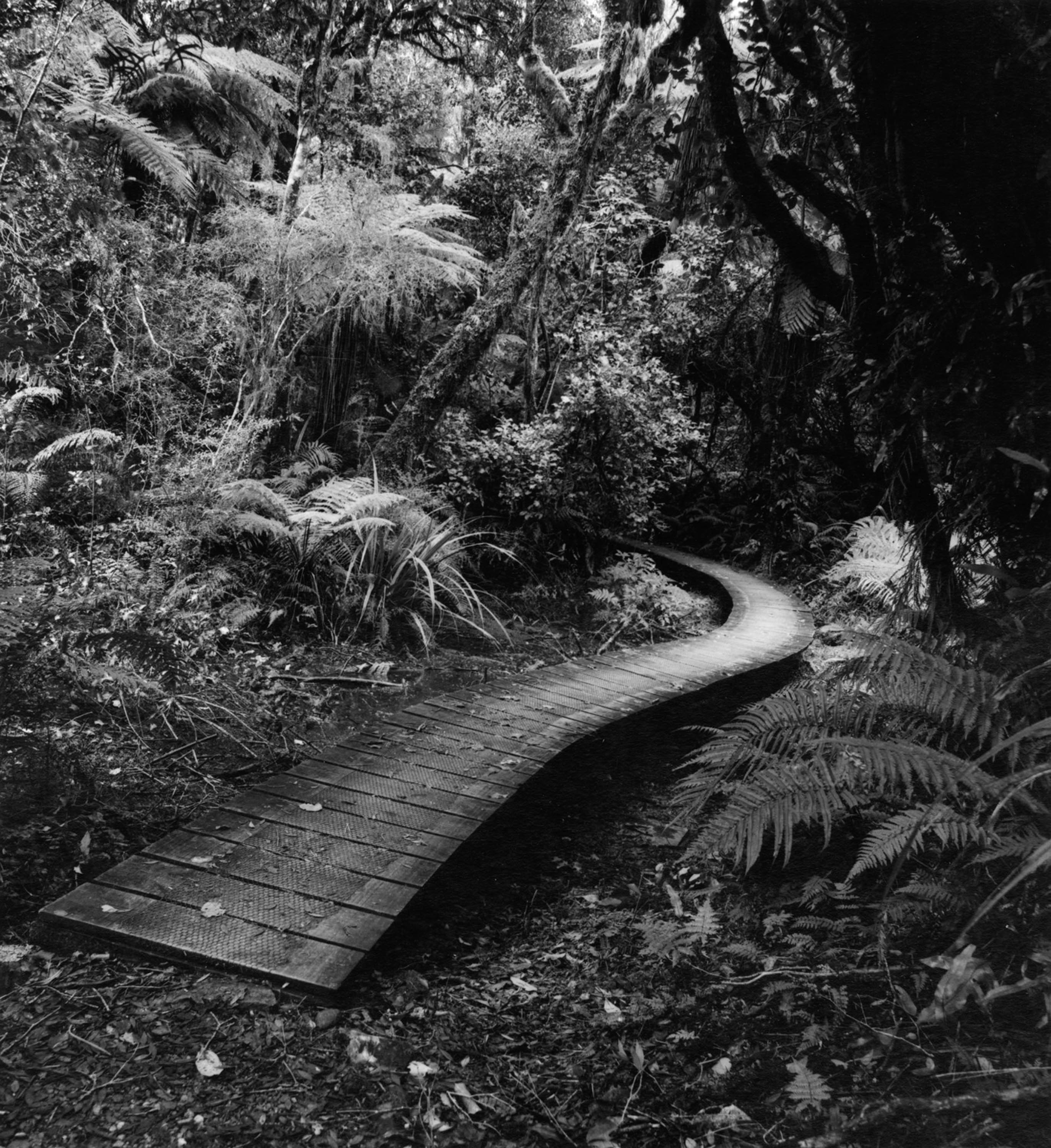 Transitional Landscapes - Neil A. Miller Photography